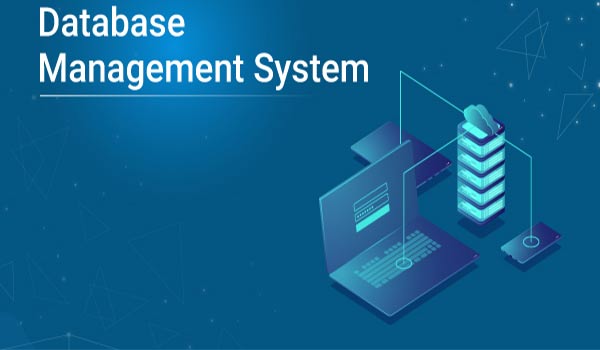 Essential Roles Of Database Management System In Industries
